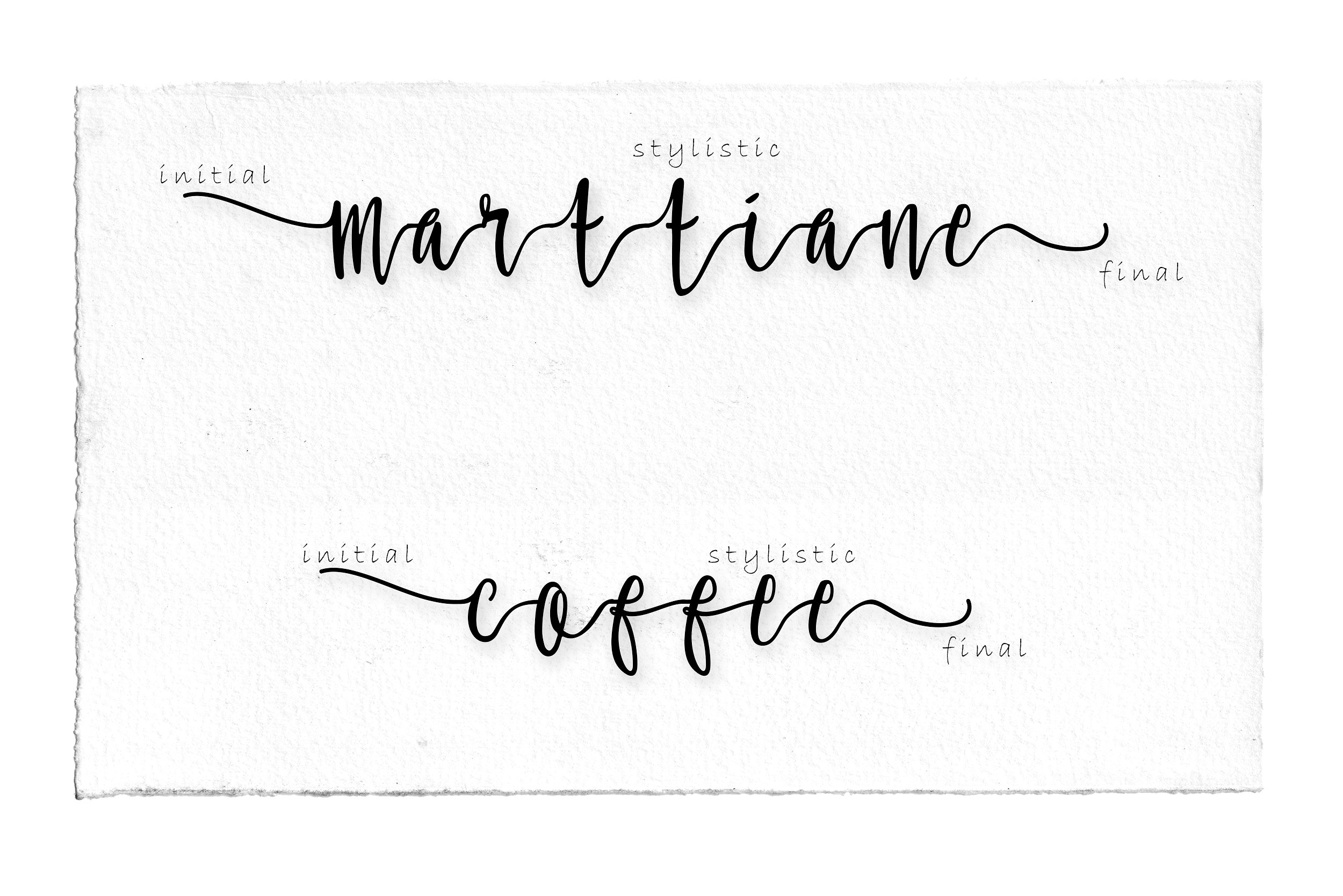 What Is A Script Type Font Free Visually Script Font Creativetacos