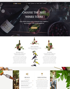 WS Wine – Responsive Wine Store WooCommerce WordPress theme