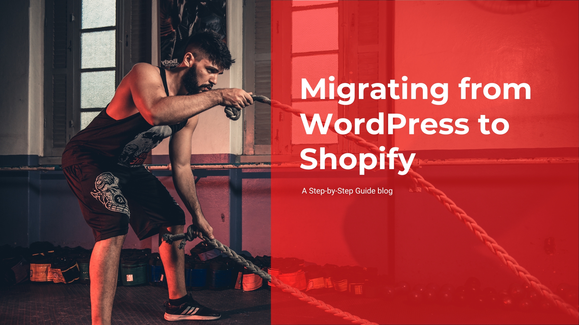 Migrating from WordPress to Shopify: A Step-by-Step Guide - LTHEME Migrating from WordPress to Shopify: A Step-by-Step Guide - LTHEME